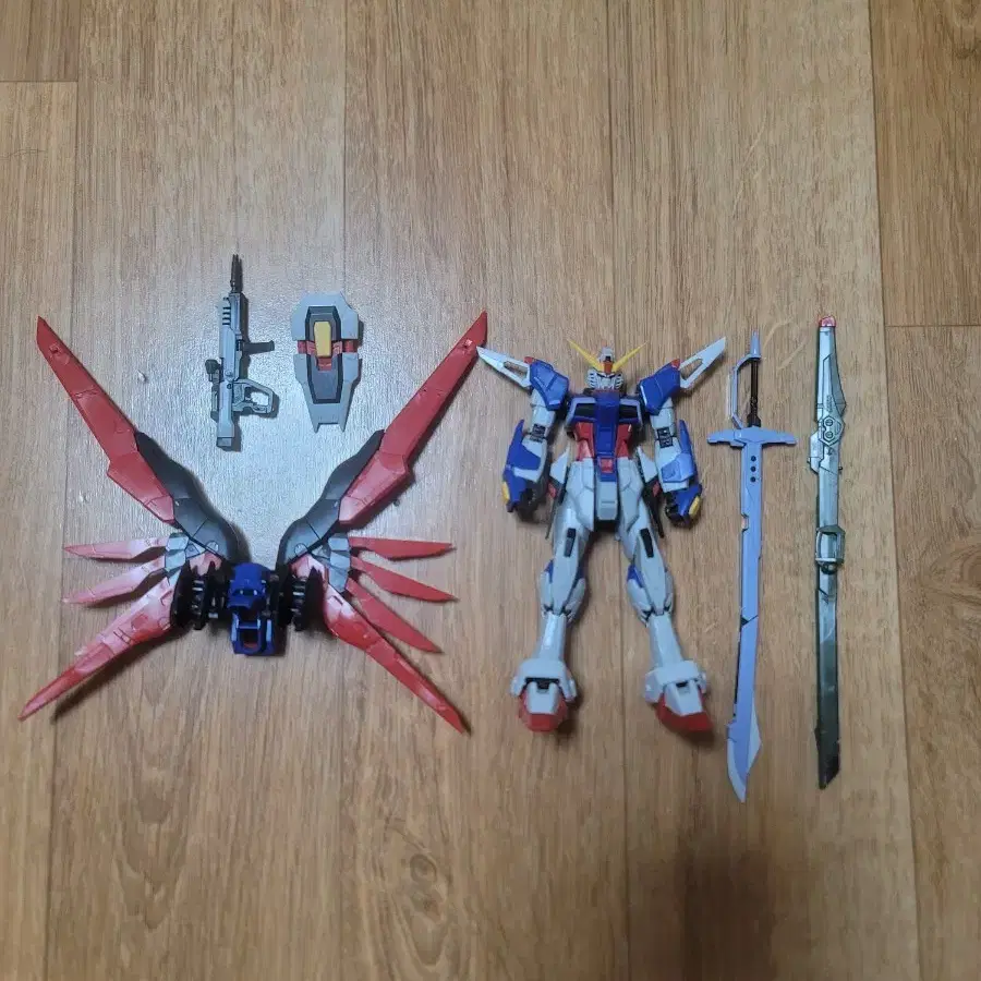 Destiny Gundam Rg