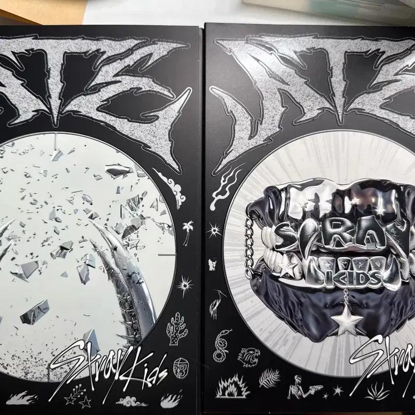 STRAY KIDS | 스트레이키즈 SKZ Stray Kids ATE Album Unsealed on Bunjang Global ...