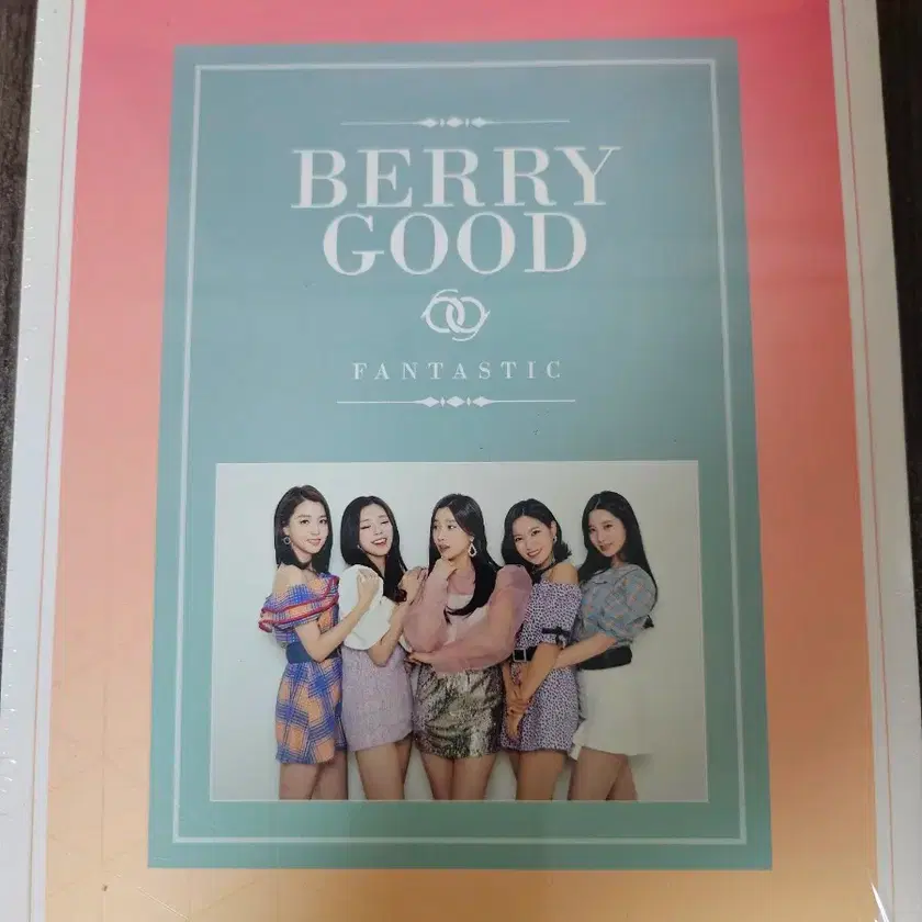 Sealed Berry Good Mini Album Vol. 3 - Fantastic #베리굿 on Bunjang Global ...