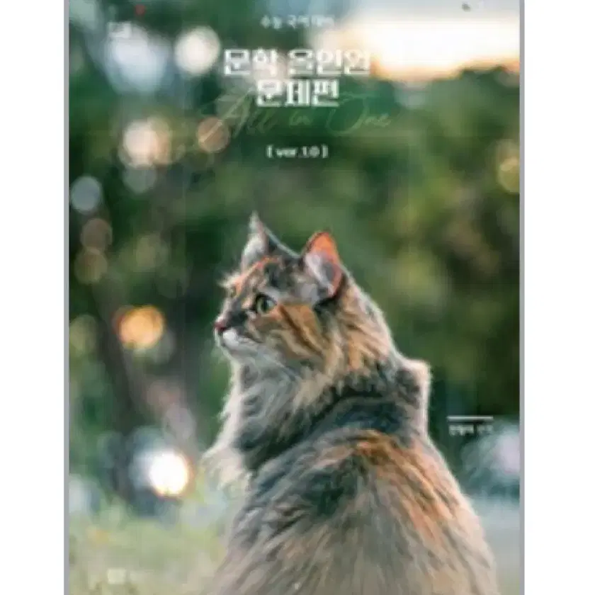 2026 Literature All-in-One + Na Gi-chul on Bunjang Global Site.