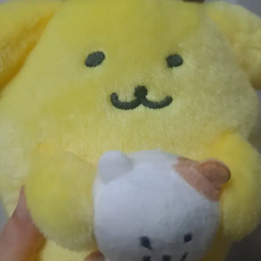 Sanrio & Nagano Pompompurin on Bunjang Global Site.