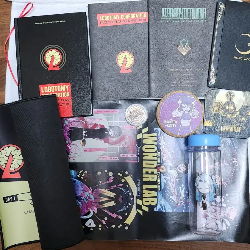 Project Moon Lobotomy Corporation Library of Ruina Wonderlab Limbus ...