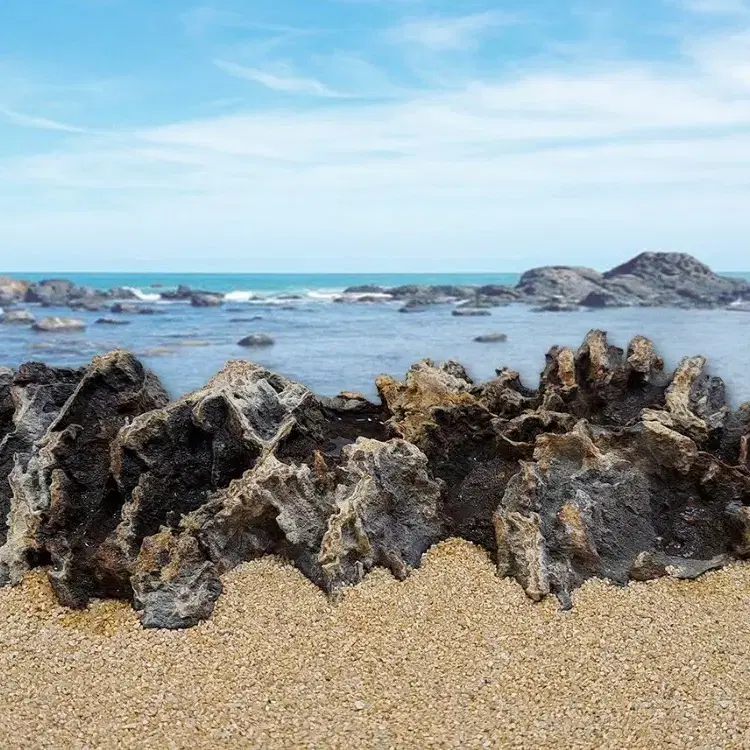 Angel Friend Suseok on Bunjang Global Site.