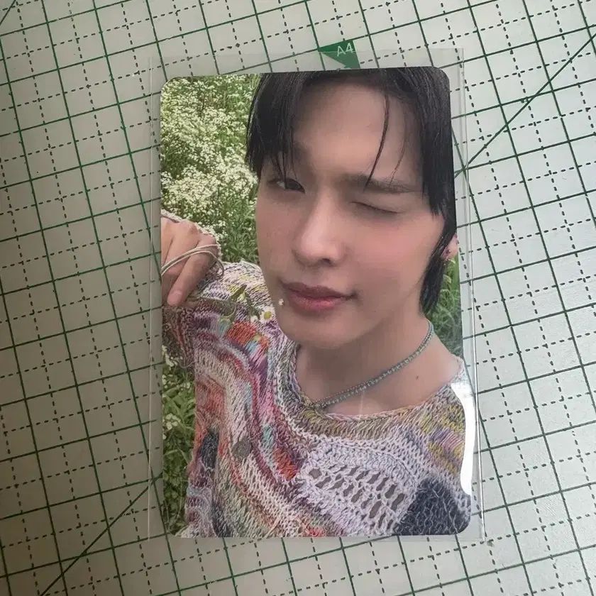 NCT | 엔시티 Nct wish color Apple Music riku poca unreleased photocard wts ...