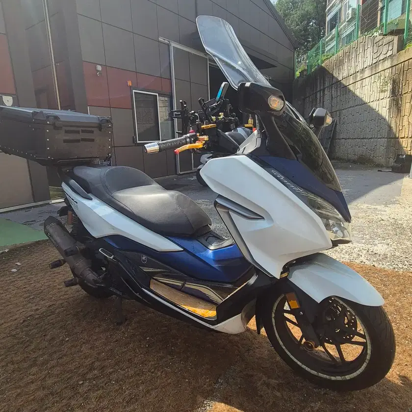 FORZA | 포르자 Forza 300 2020, muffler removed, modification OK, full ...