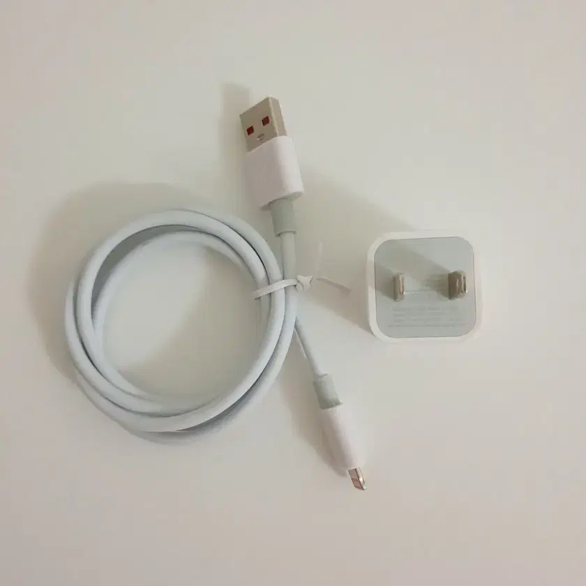 APPLE | 애플 iPhone Lightning 8-pin charger cable on Bunjang Global Site.