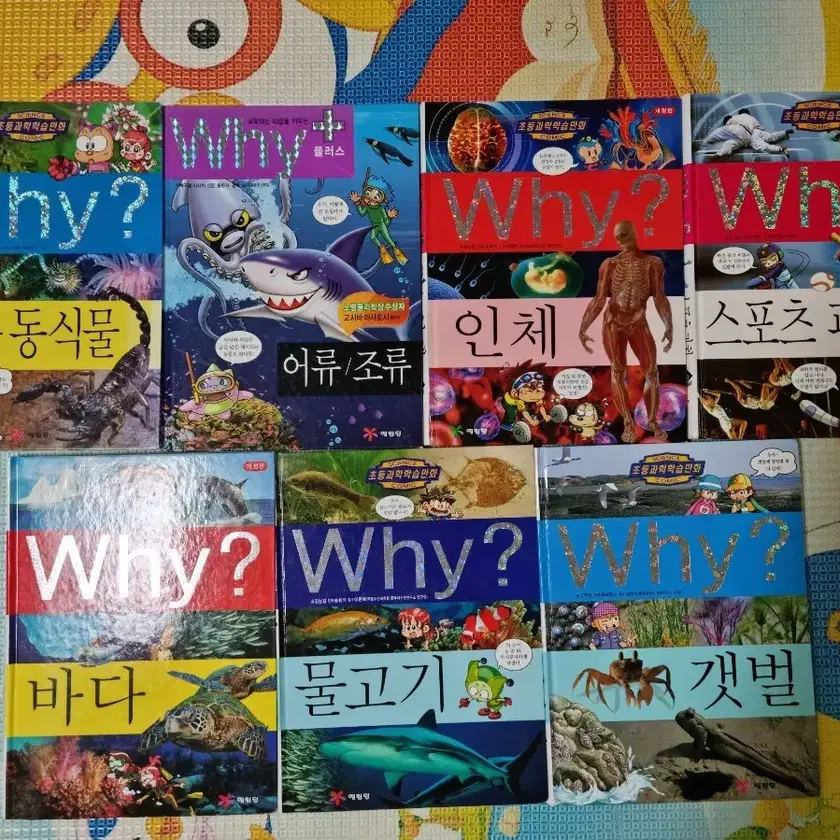 Y Book + Science Common Sense Comic Book, Learning Comic Book ...