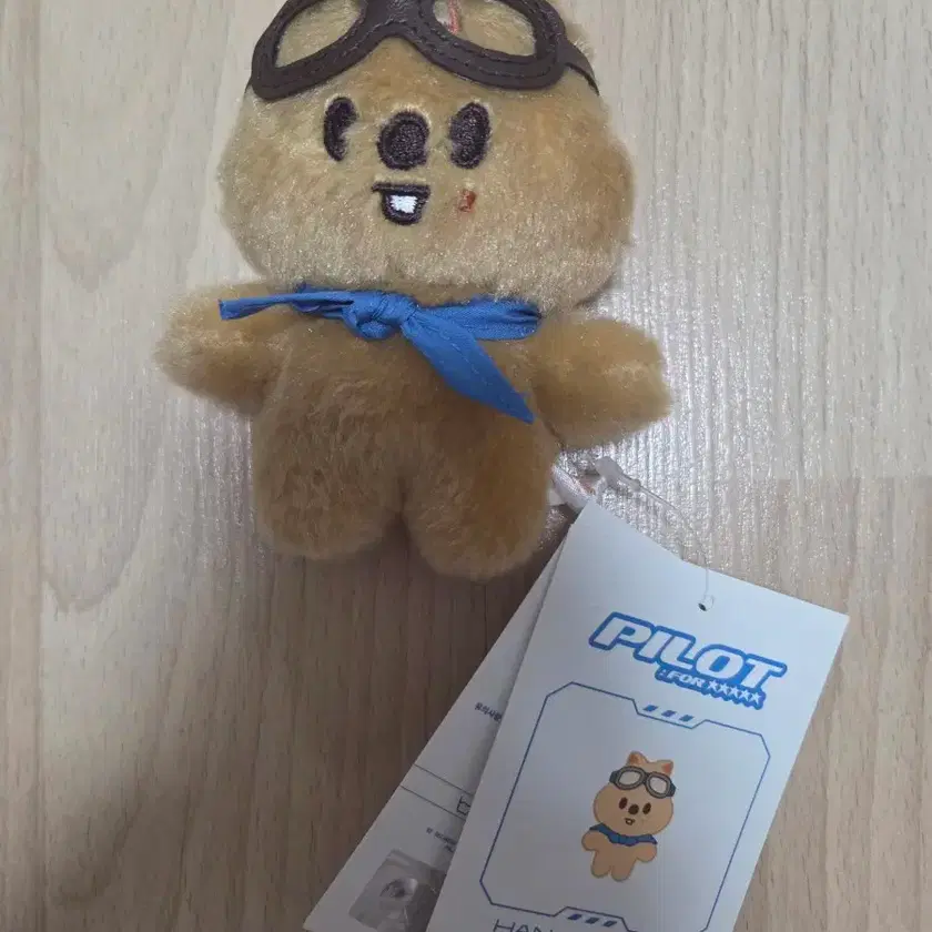 STRAY KIDS | 스트레이키즈 !!Final Price Drop!! Pilot Han Quokka Han Jisung ...