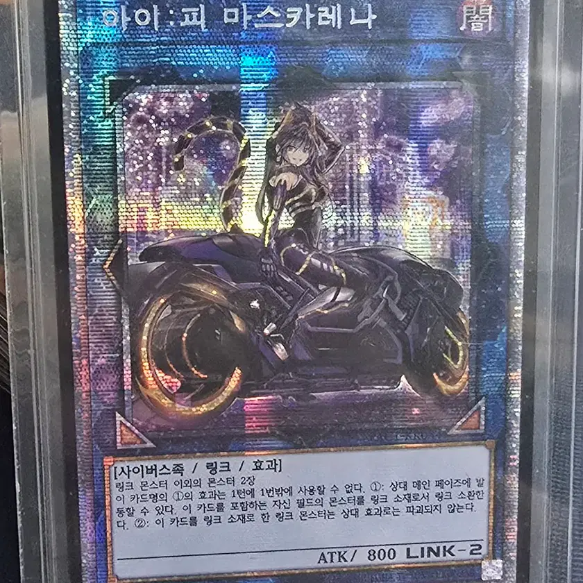 YU-GI-OH | 유희왕 Yu-Gi-Oh! IP Masquerena FS on Bunjang Global Site.