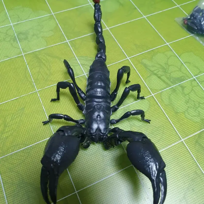 Creature Encyclopedia Scorpion (Large) Figure #생물대도감,#전갈 on Bunjang ...