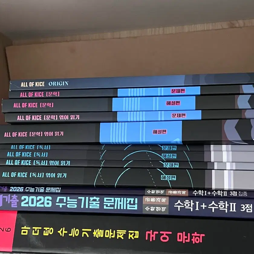 Alloka Kim Seungri Mother Tongue Literature N-Gichul Math #수능,#김승리올오카 ...