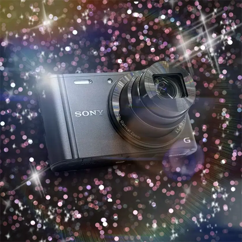 SONY | 소니 [High-end & Cute!] Sony Cyber-shot DSC-WX300 Black Digital ...