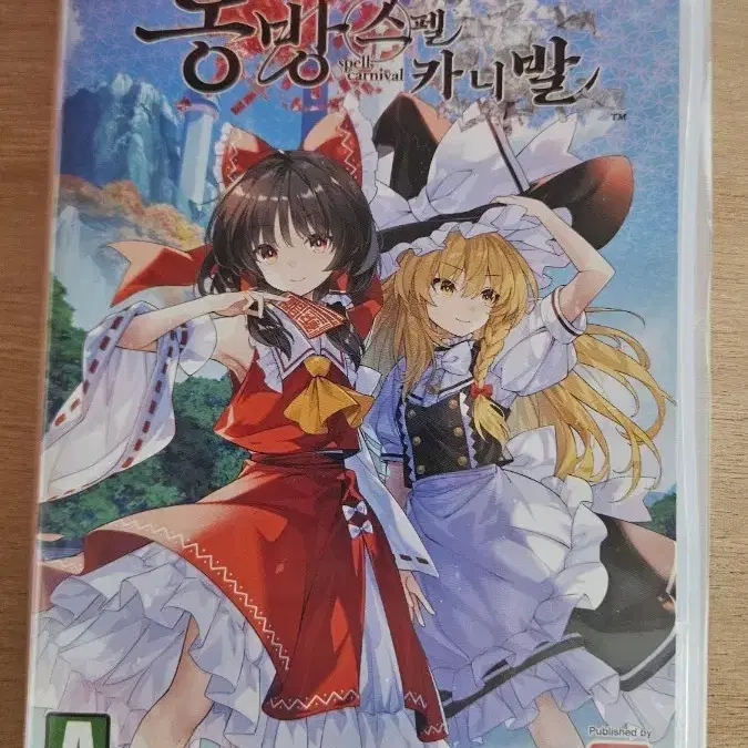 NINTENDO | 닌텐도 Nintendo Switch Touhou Spell Carnival sealed on Bunjang ...