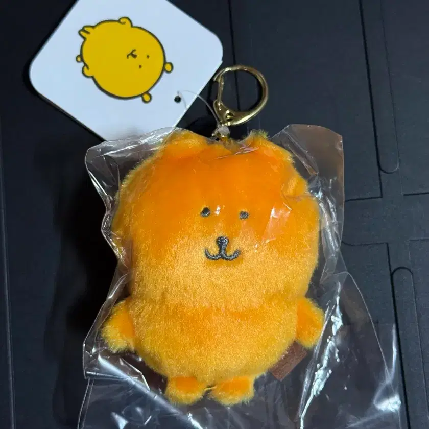 NONGDAMGOM | 농담곰 Nagano Market Pop Up Saekdamgom Nongdamgom Colordamgom ...