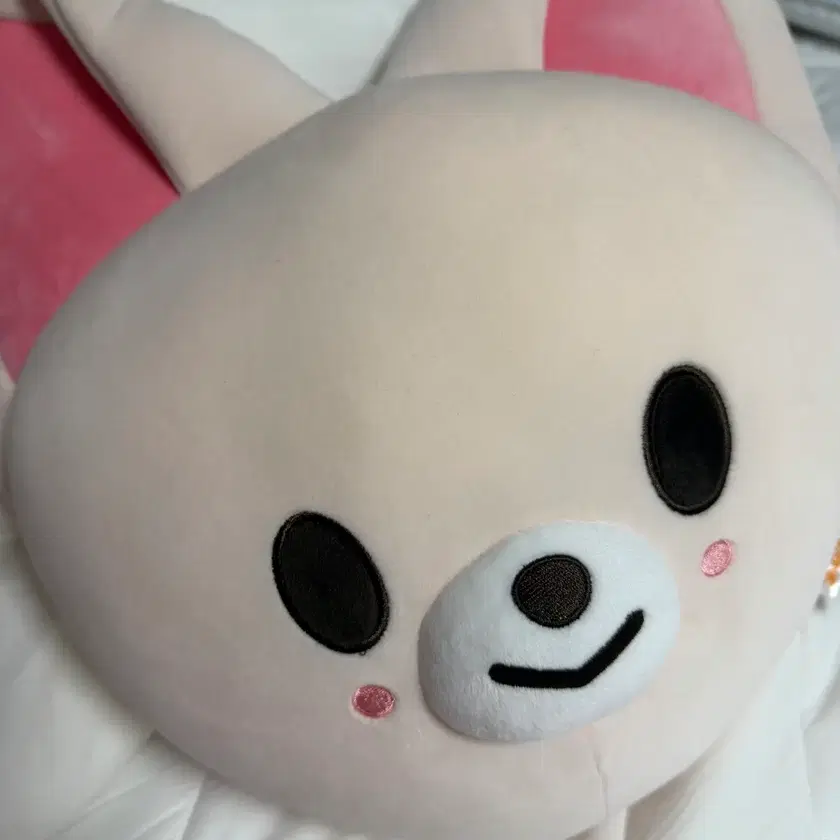 STRAY KIDS | 스트레이키즈 Stray Kids Skiz Skizu Foxiny Face Cushion #스키주,#폭시니 ...