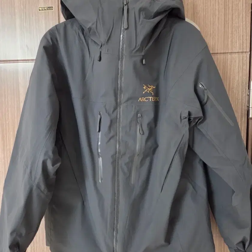 ARC'TERYX | 아크테릭스 Arc'teryx Alpha SV Jin Grey L on Bunjang Global Site.