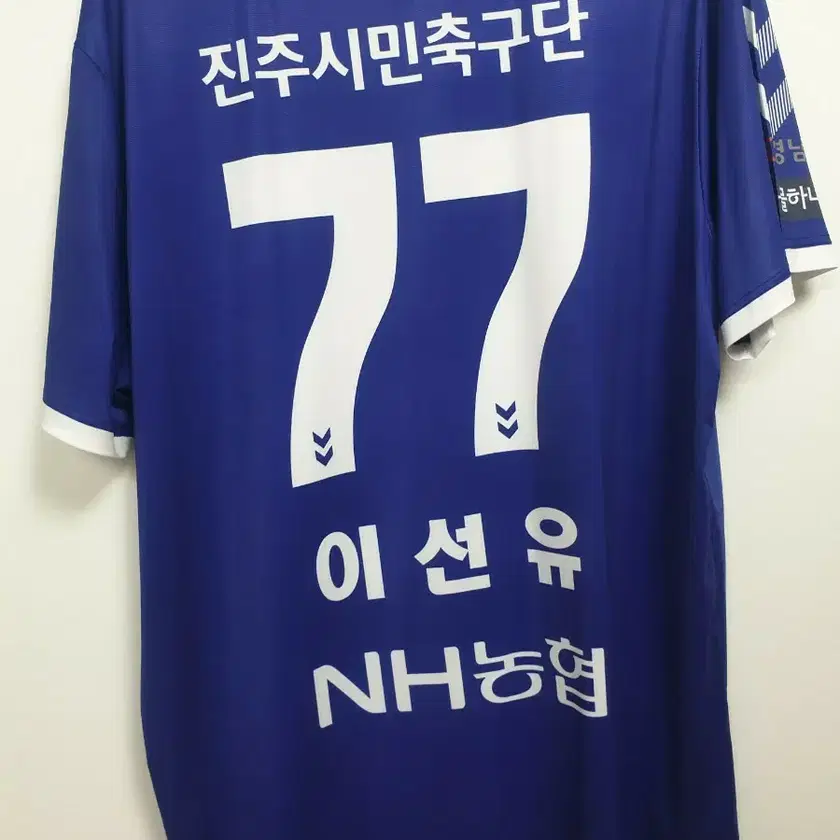(New Product) Jinju Citizen Football Club Lee Seon-yu Uniform on ...