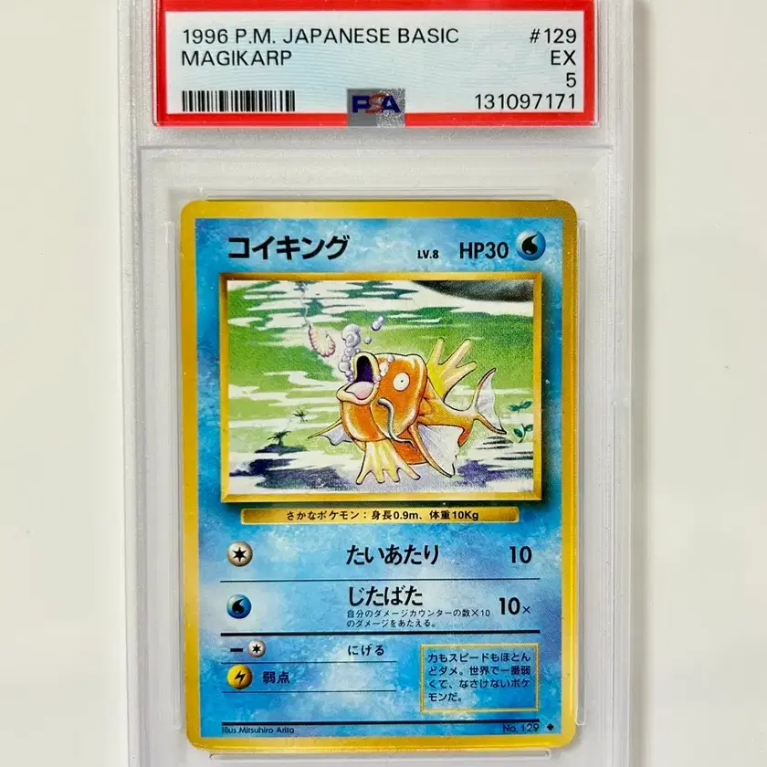 Pokemon Card Japanese Version 1996 First Edition Magikarp Graded Card ...