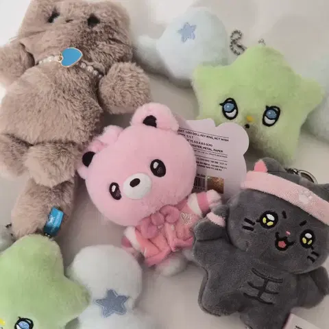 Nct Wish poca md wts | Bunjang Global
